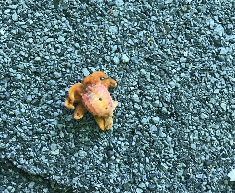 Monkey slug caterpillar