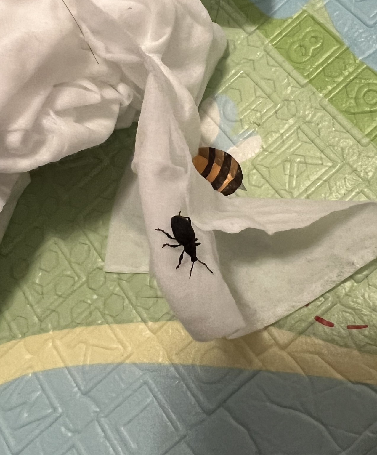 Sow Bugs-Pill Bugs - PEST CONTROL CANADA